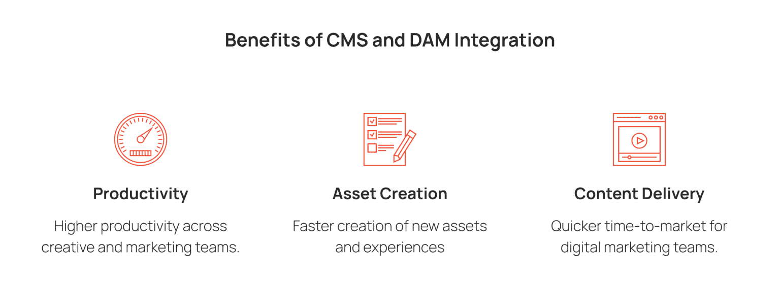 DAM vs. CMS: What’s the Difference and Why You Need Both | Axamit