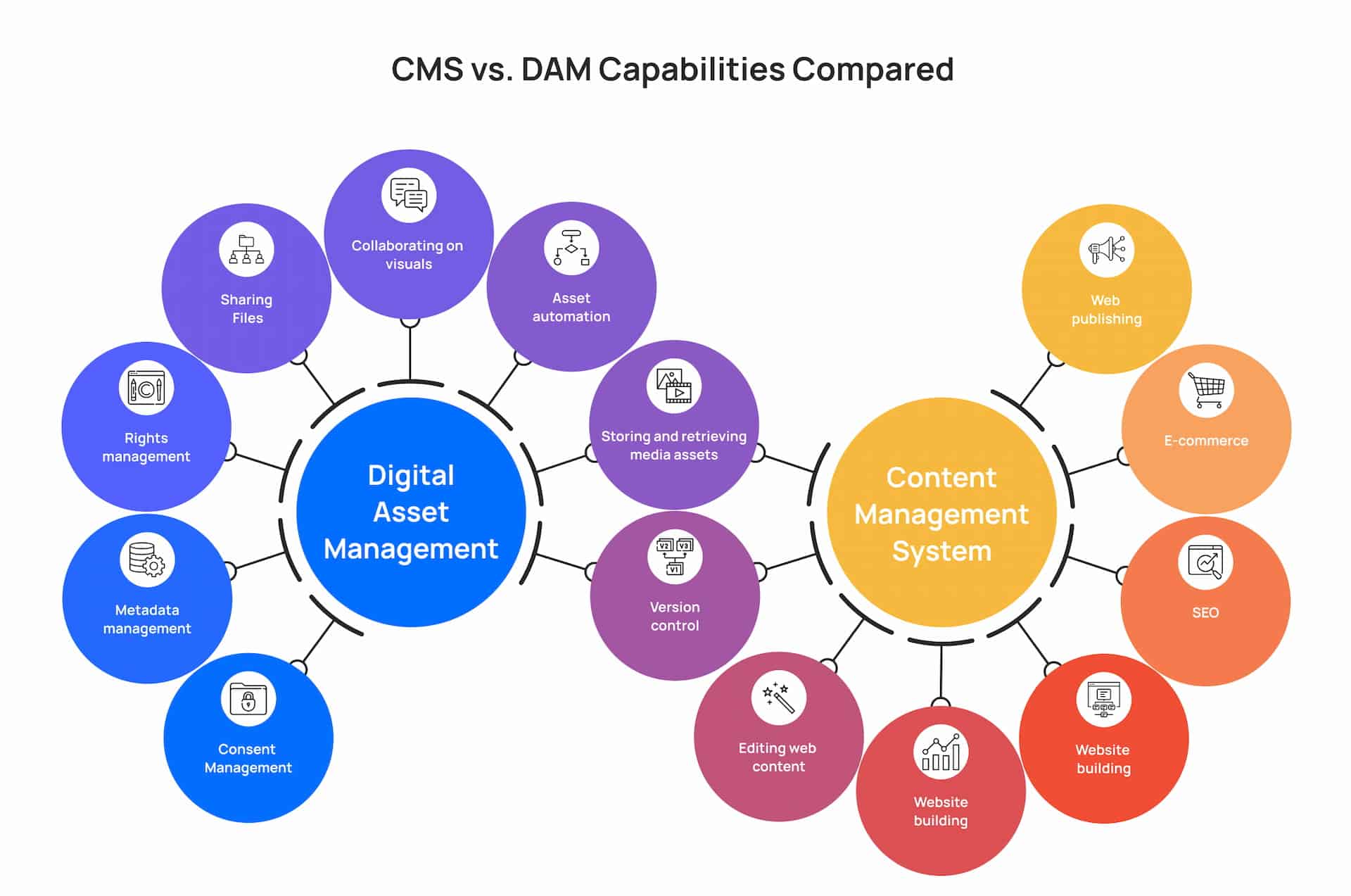 DAM vs. CMS: What’s the Difference and Why You Need Both | Axamit